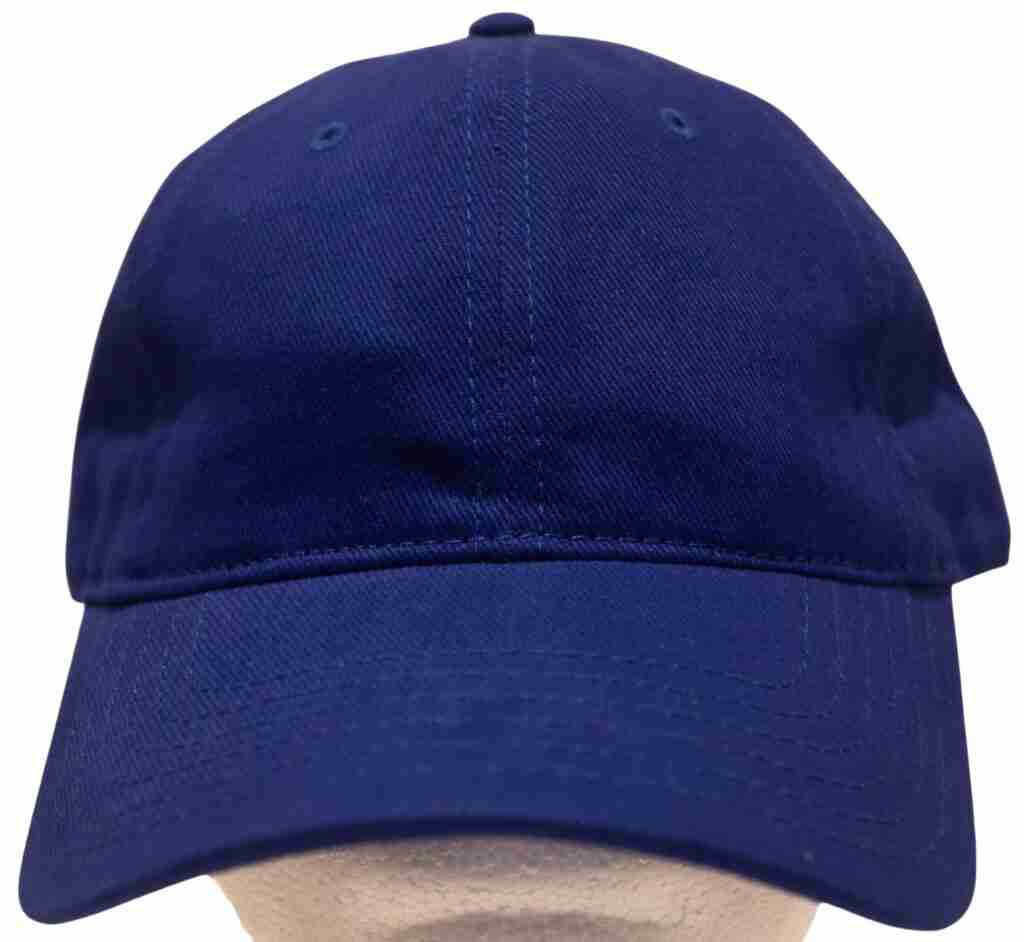 Domino’s Pizza Hat 2051 - Embroidered Adjustable Cap - NanoHawk